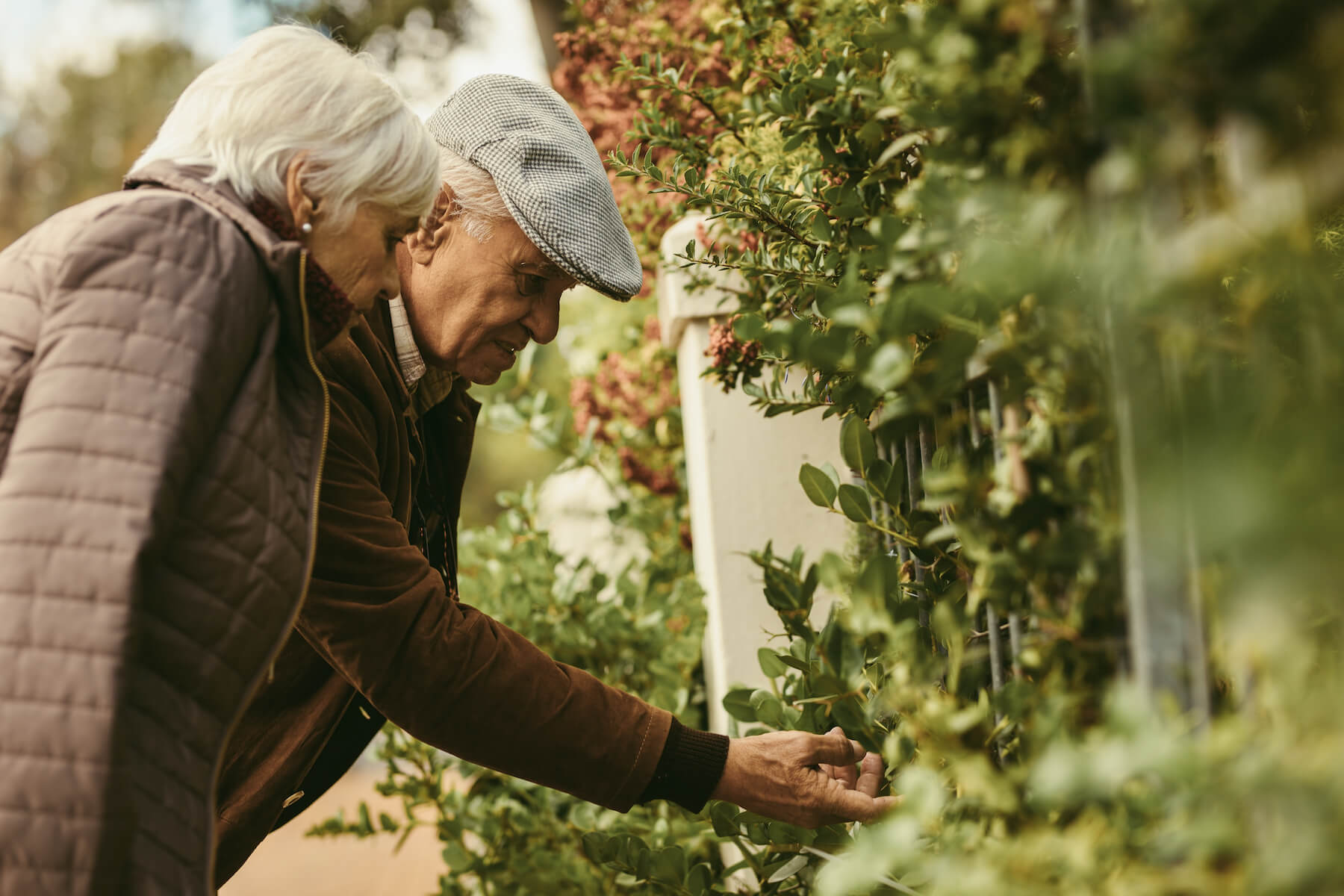 Retirement Planning - Bogart Wealth